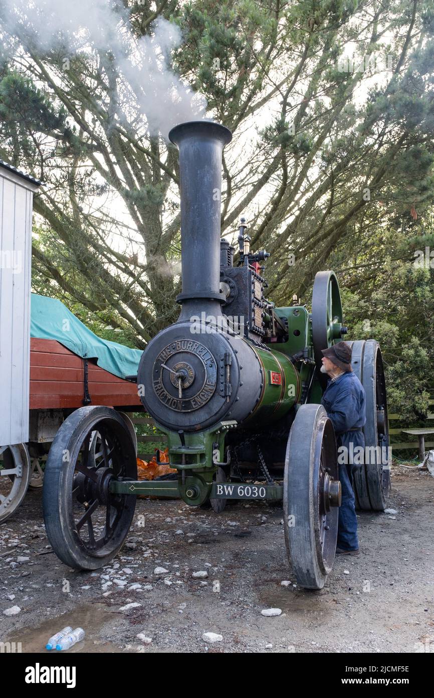 Vintage steam traction engines in a display at the Royal Cornwall Show ...