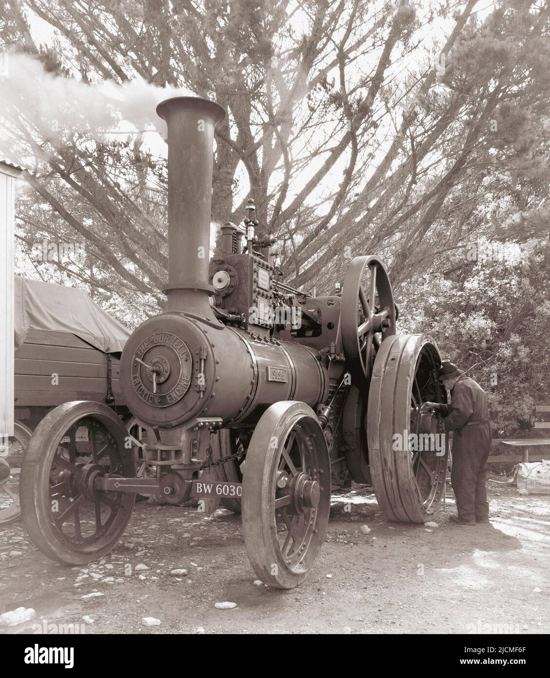 Vintage steam traction engines in a display at the Royal Cornwall Show ...