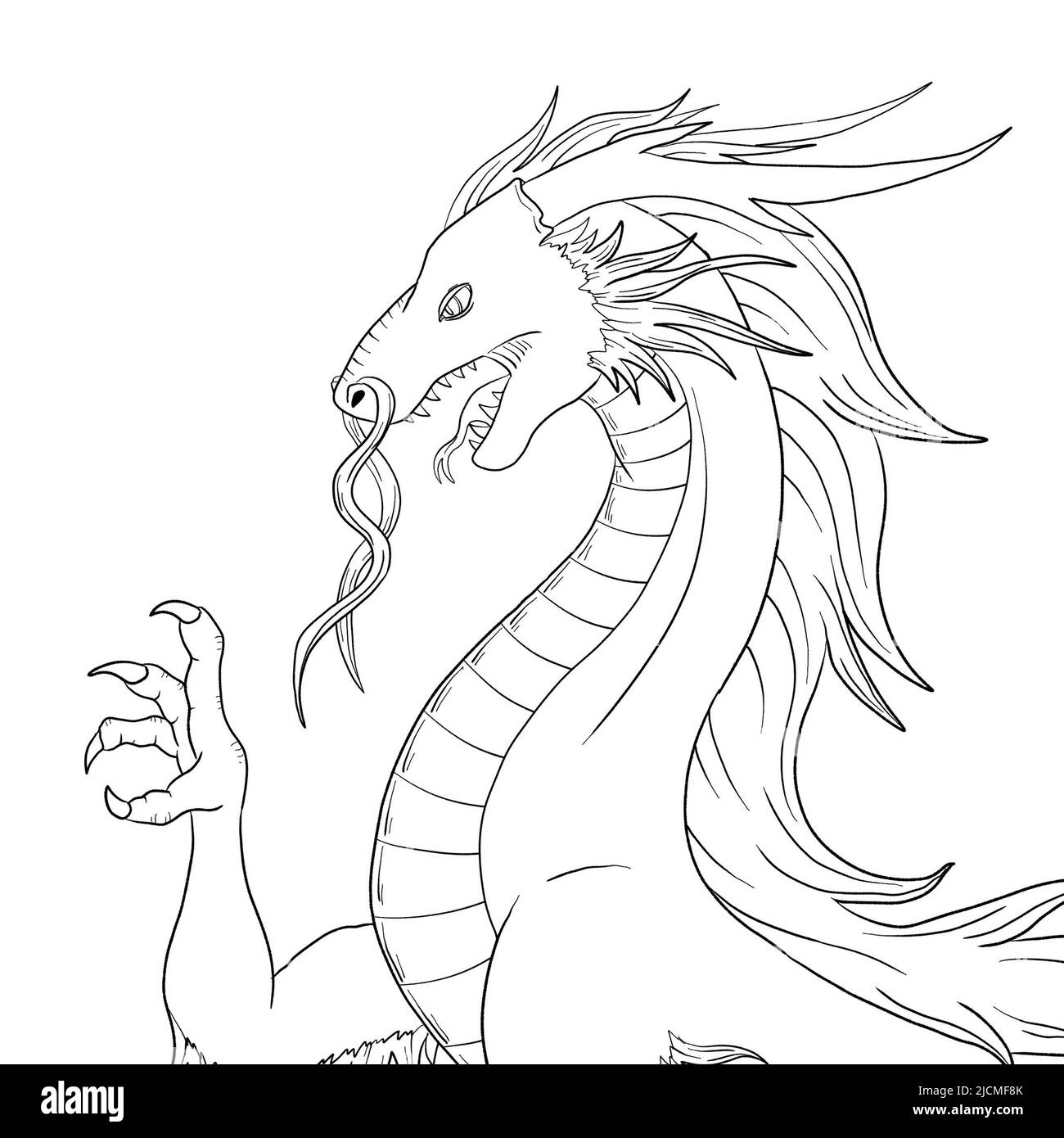 Black and white coloring page ink illustration of a dragon Stock Photo ...