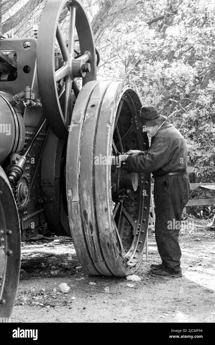 Vintage steam traction engines in a display at the Royal Cornwall Show ...