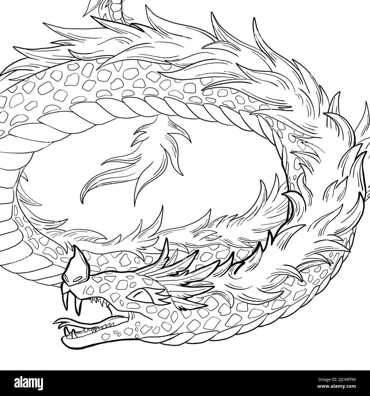 Black and white coloring page ink illustration of a dragon Stock Photo ...