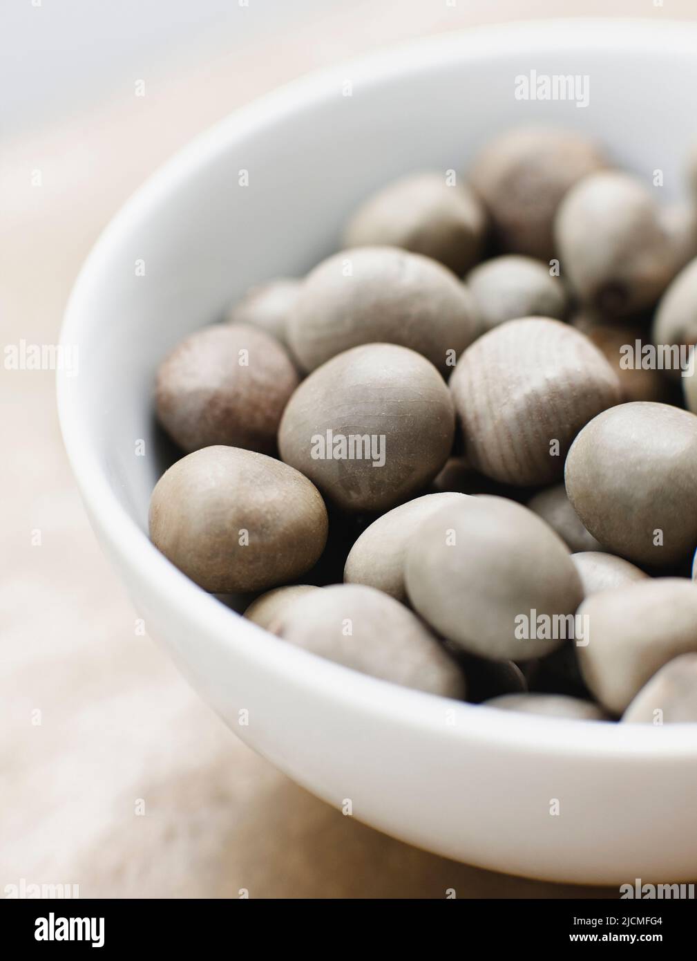 Sri Lankan Ayurvedic Ingredient. Aturuwella, Bentota, Sri Lanka. Nuts ...