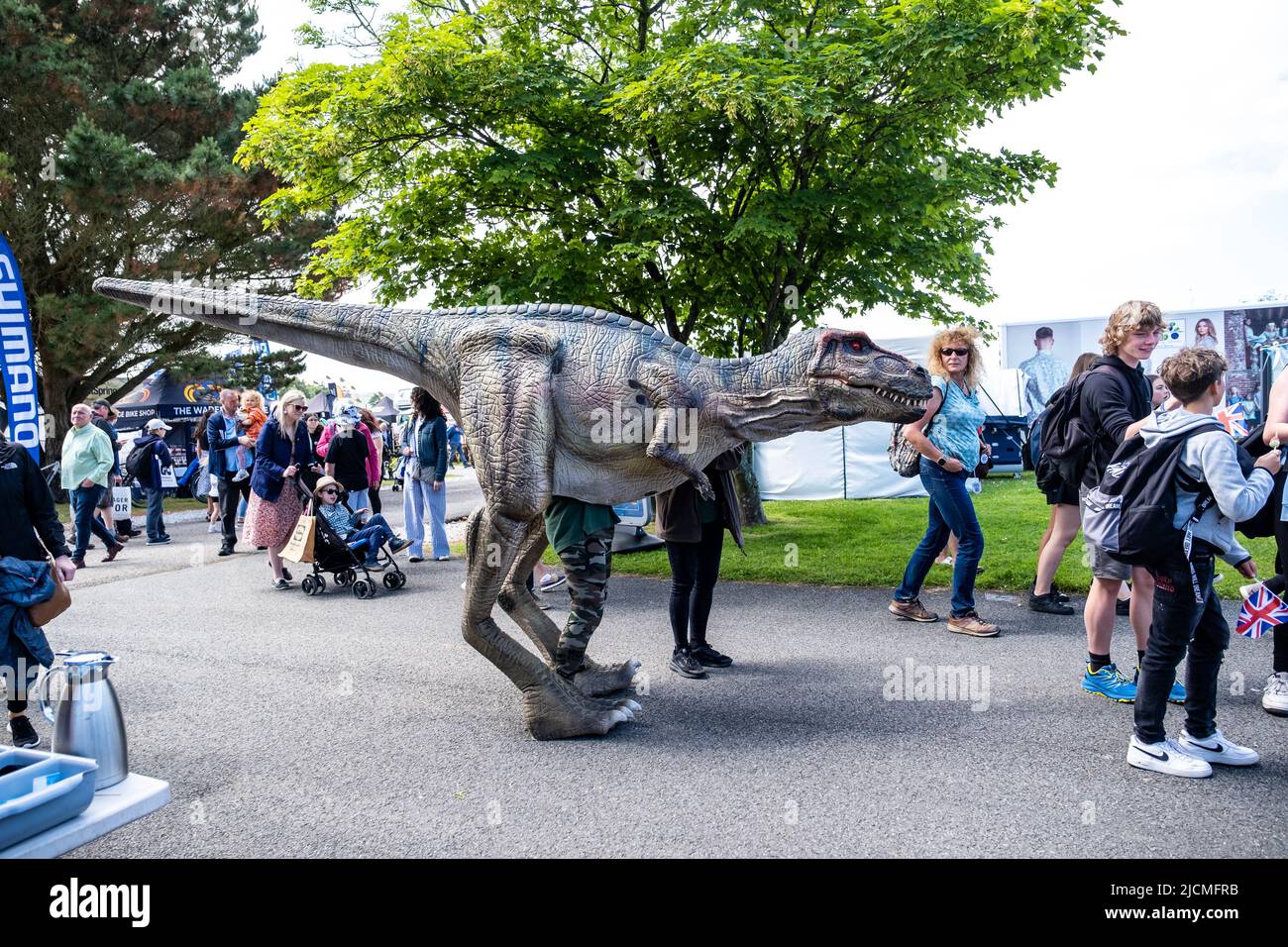 Togetherness! A giant toothy model Tex dinosaur being walked around by ...