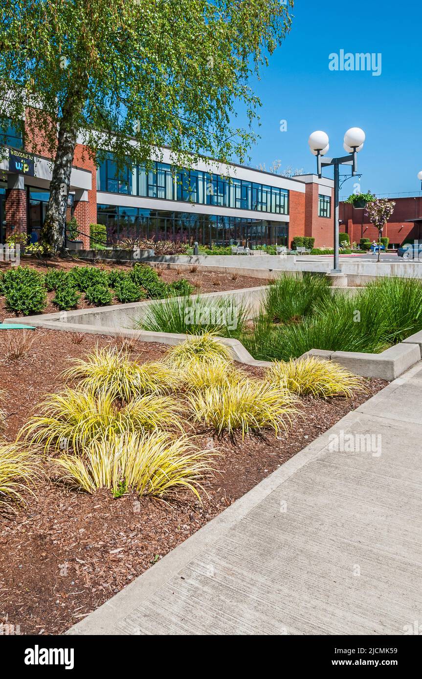 Warner pacific university hi-res stock photography and images - Alamy