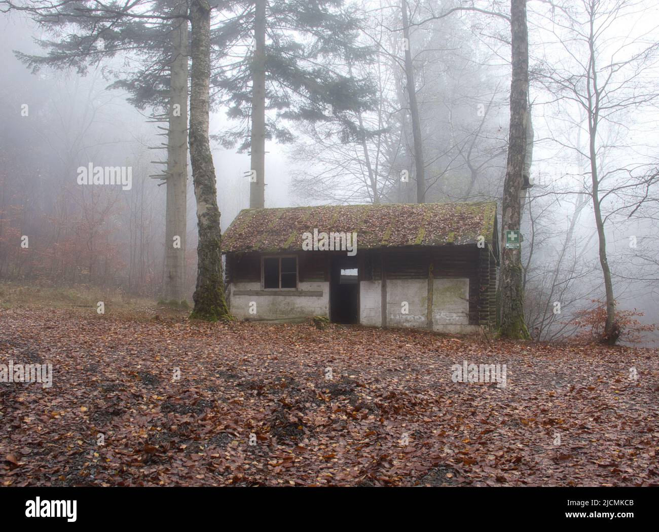 Front of abandoned cabin in the woods with leaves on the ground on a ...