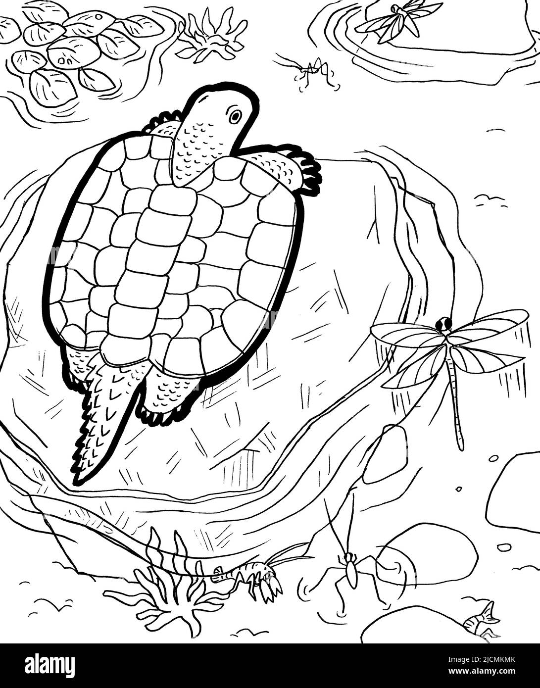 Black and white coloring page of a prehistoric creature Stock Photo - Alamy