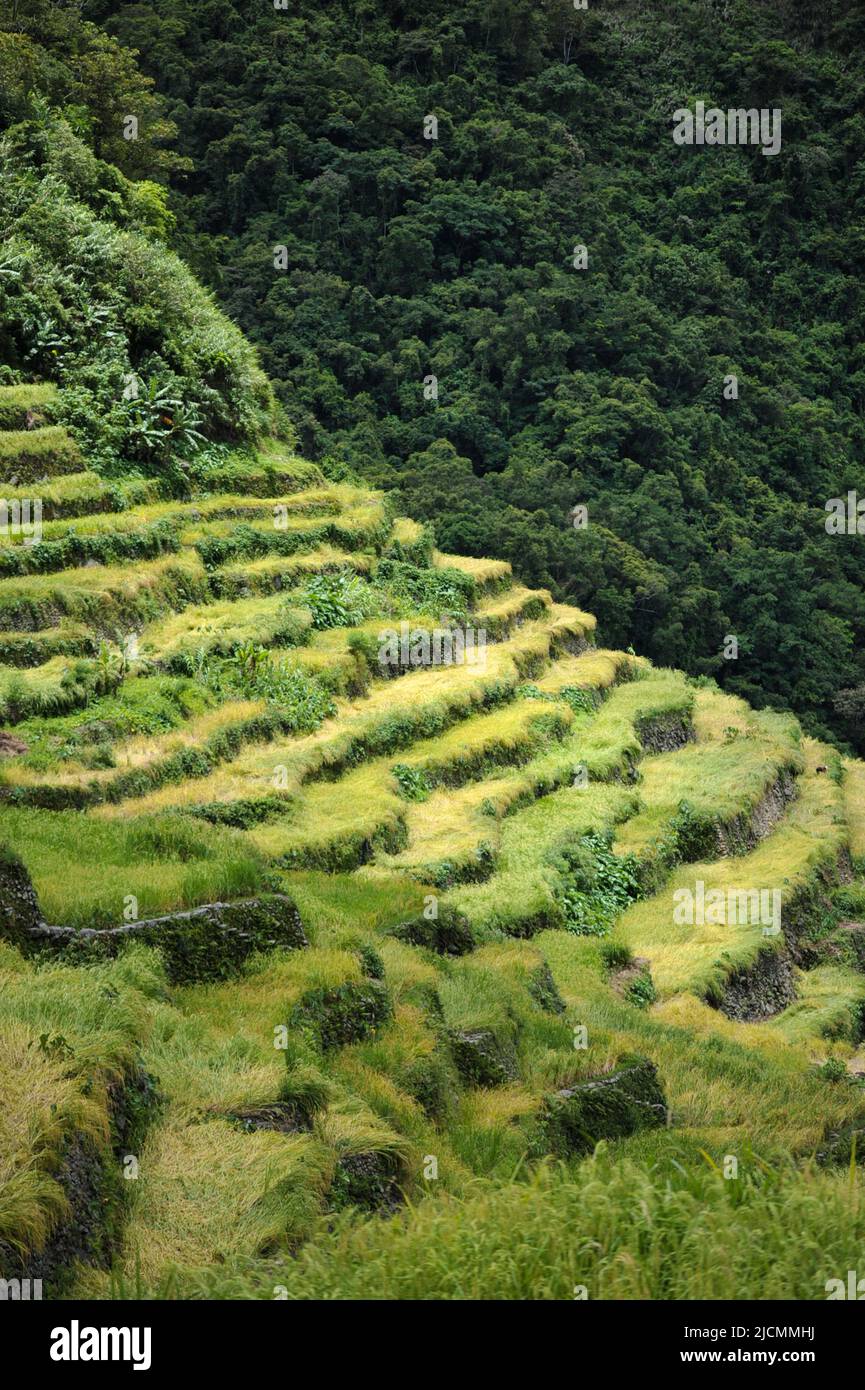Igorots hi-res stock photography and images - Alamy