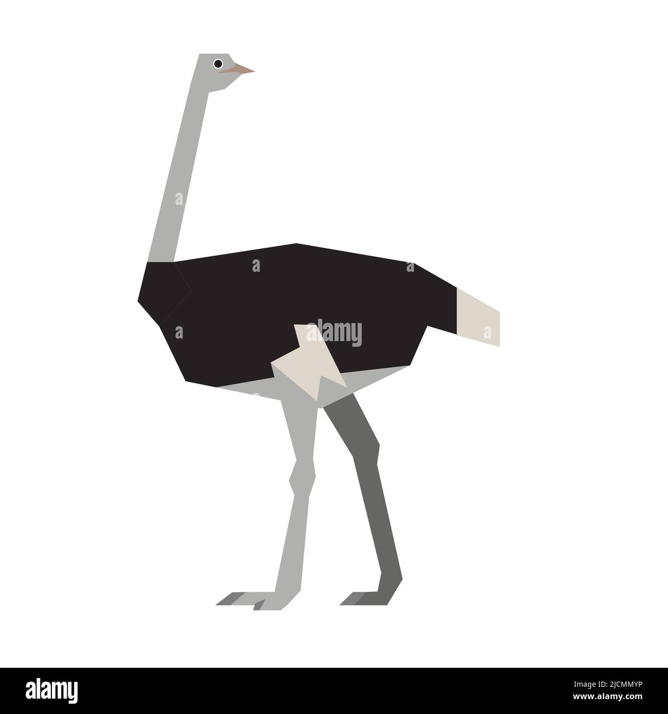 Bird ostrich vector hi-res stock photography and images - Alamy