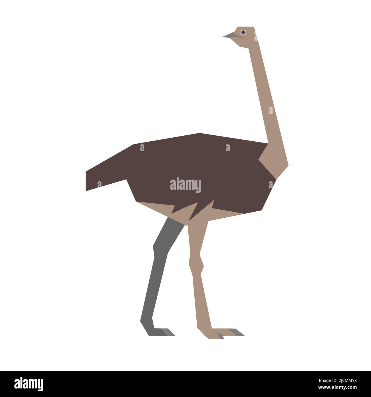 Bird ostrich vector hi-res stock photography and images - Alamy