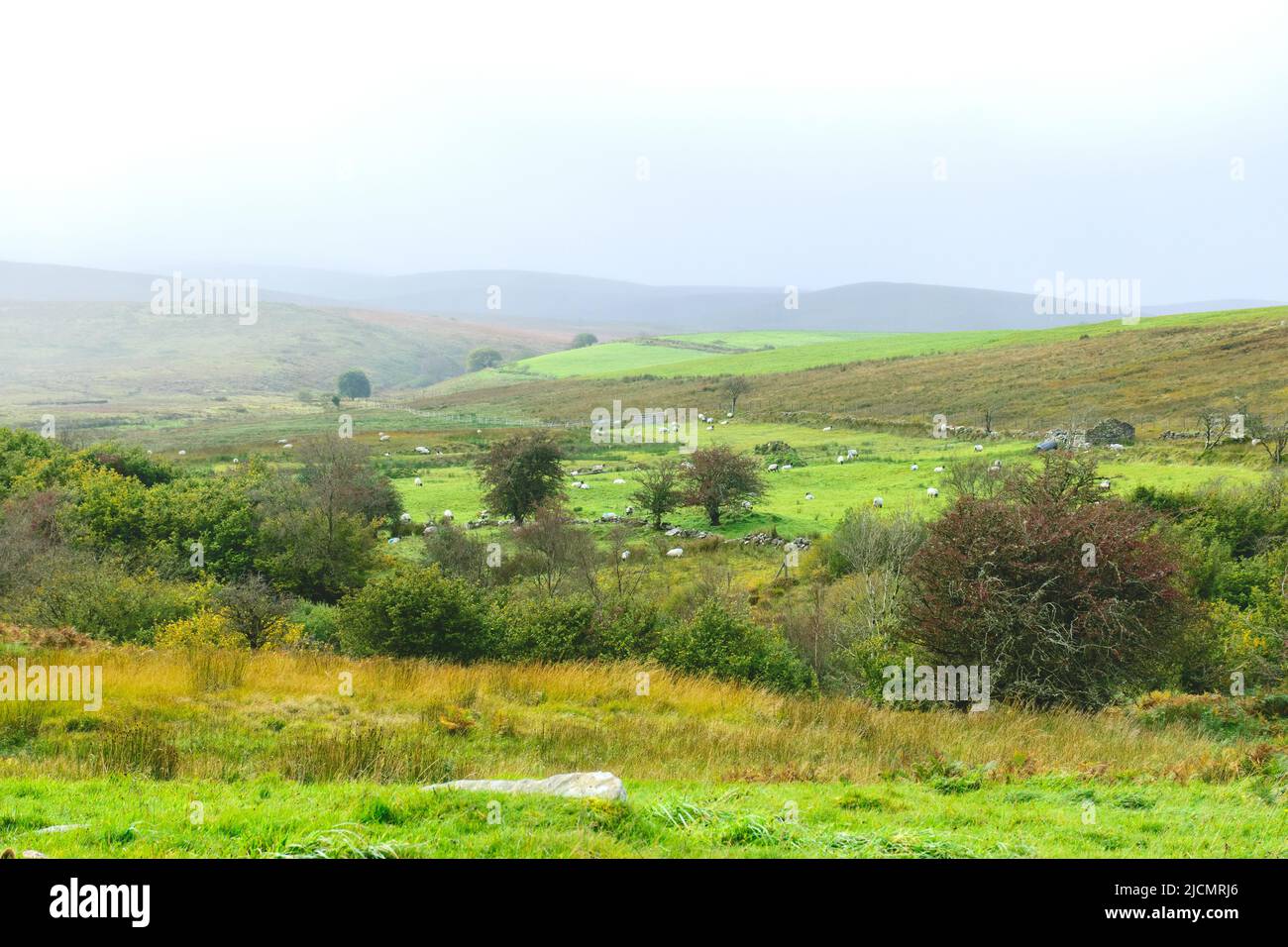 Traditional irish landscape hi-res stock photography and images - Alamy