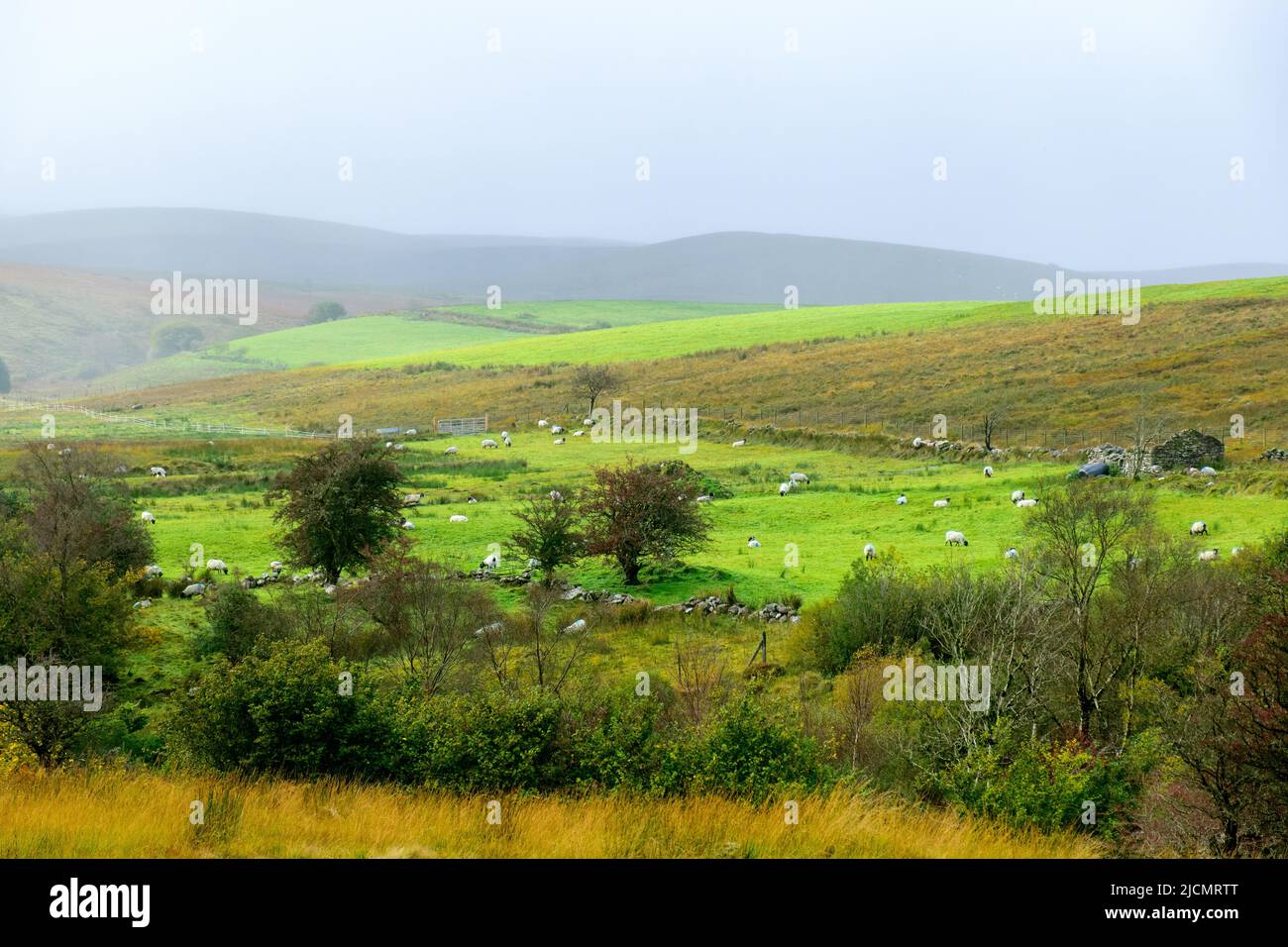 marshy terrain, traditional irish landscape, cloudy skies out of focus ...