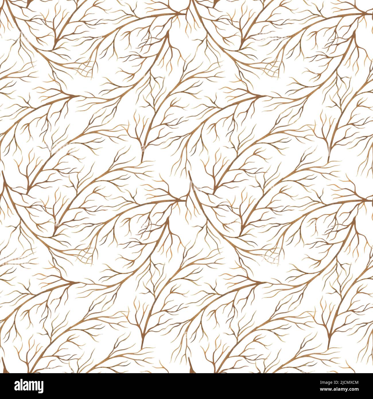 Dry intertwined branches. Branches of trees. Tree forest pattern on ...