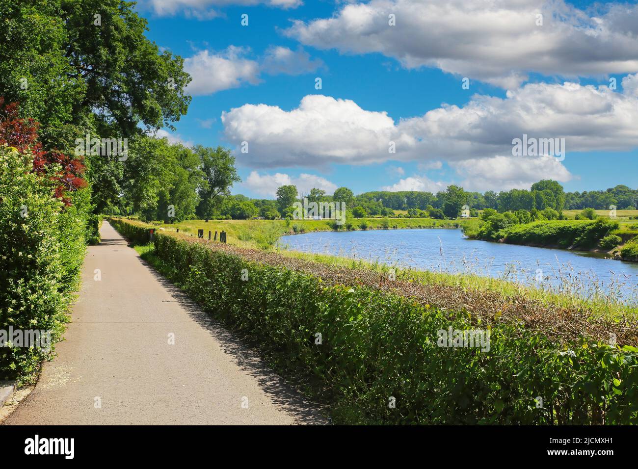 Meadow riverside forest hi-res stock photography and images - Alamy