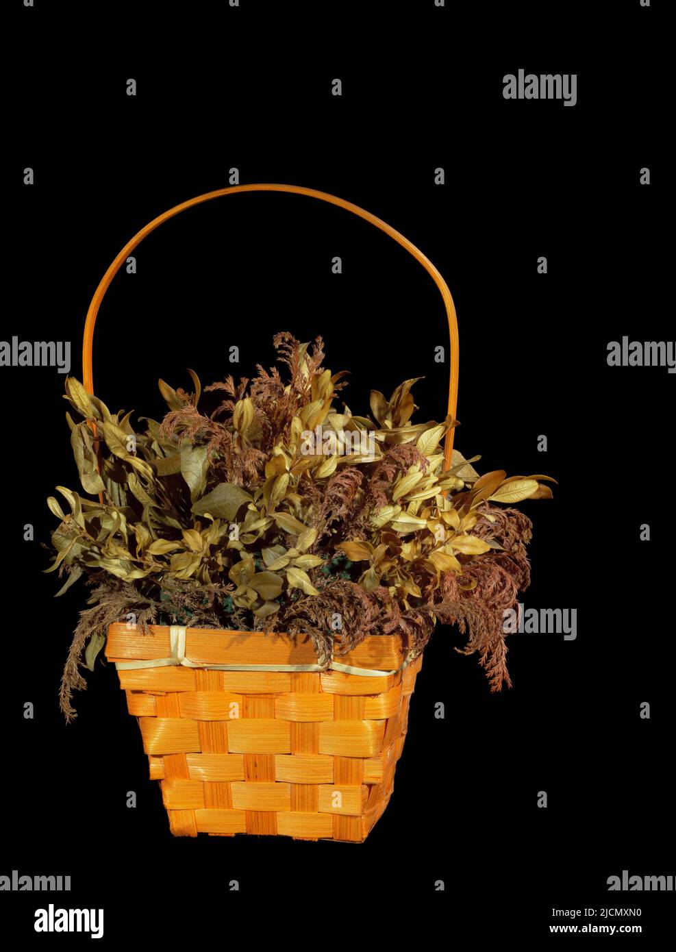Dried plant sprigs in wicker basket isolated on black Stock Photo - Alamy