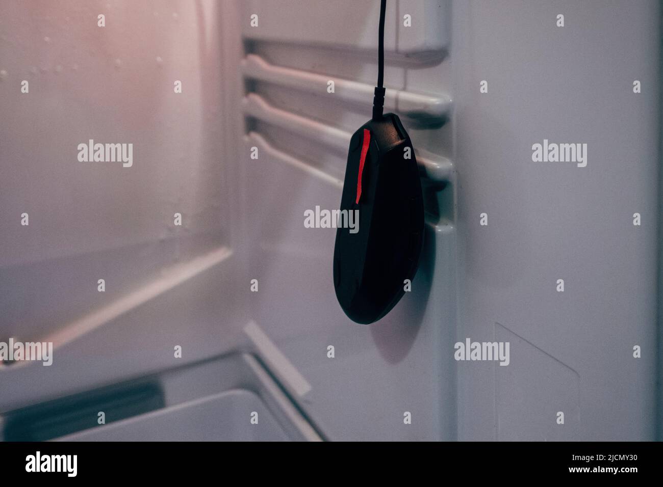 Hanging computer mouse in the empty fridge. Hunger concept Stock Photo ...