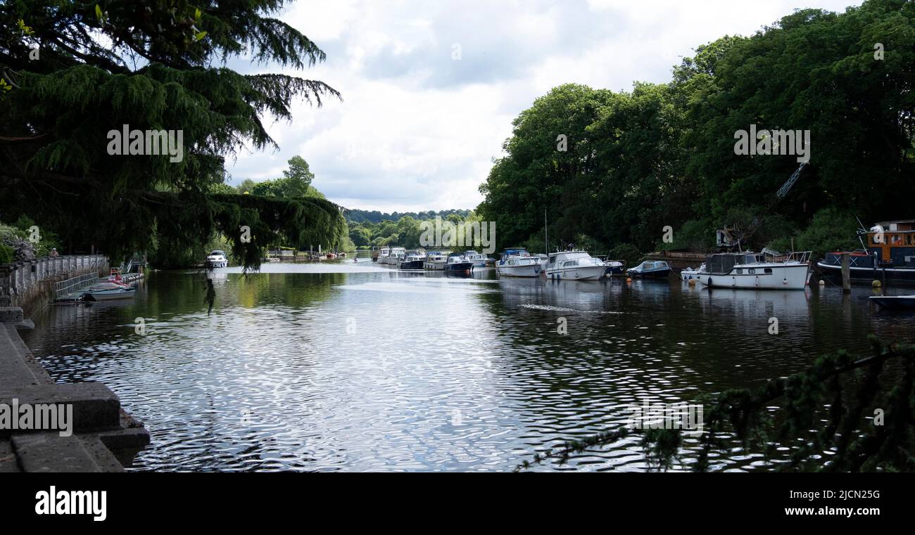 Walk along The Thames in Richmond,London Stock Photo - Alamy