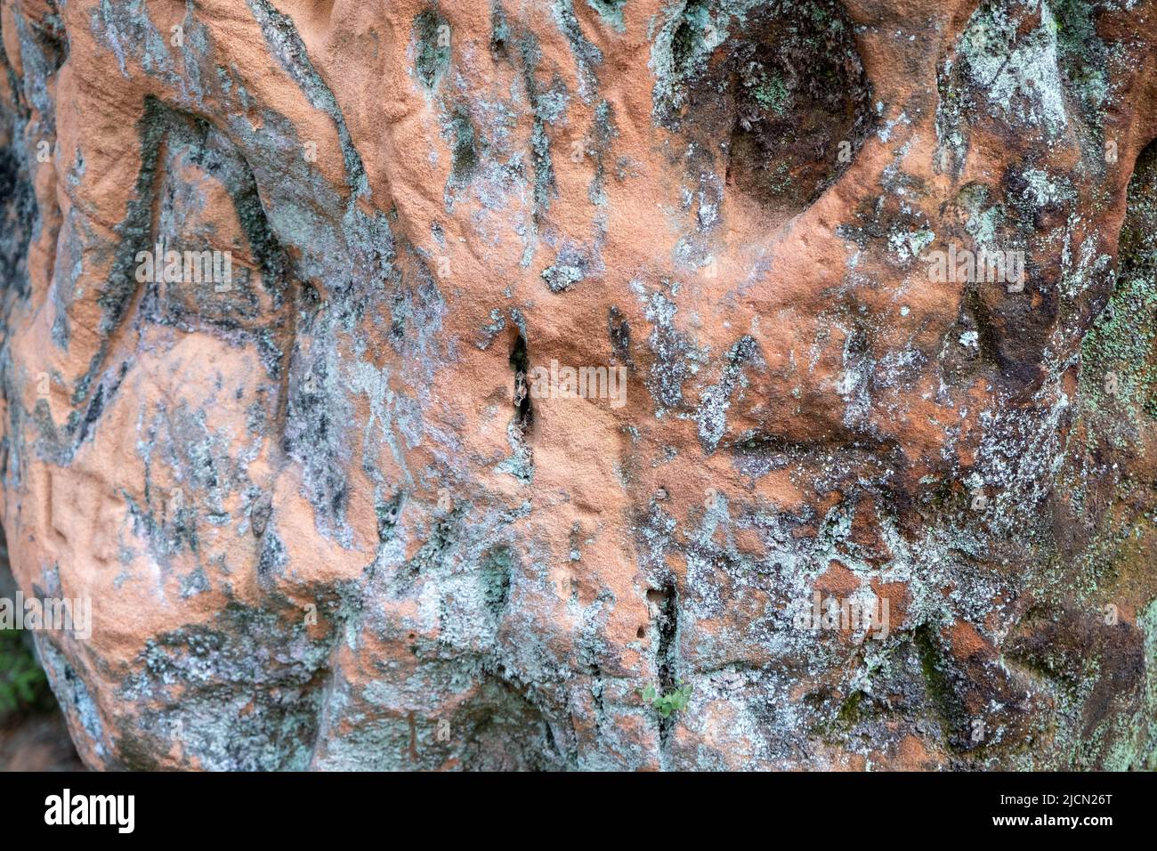 sandstone cliffs is approximately one kilometre long and is located on ...