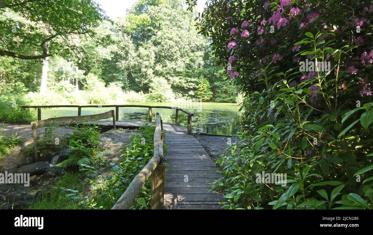 To pass the corner of this lake a decking path was made. This lake is ...