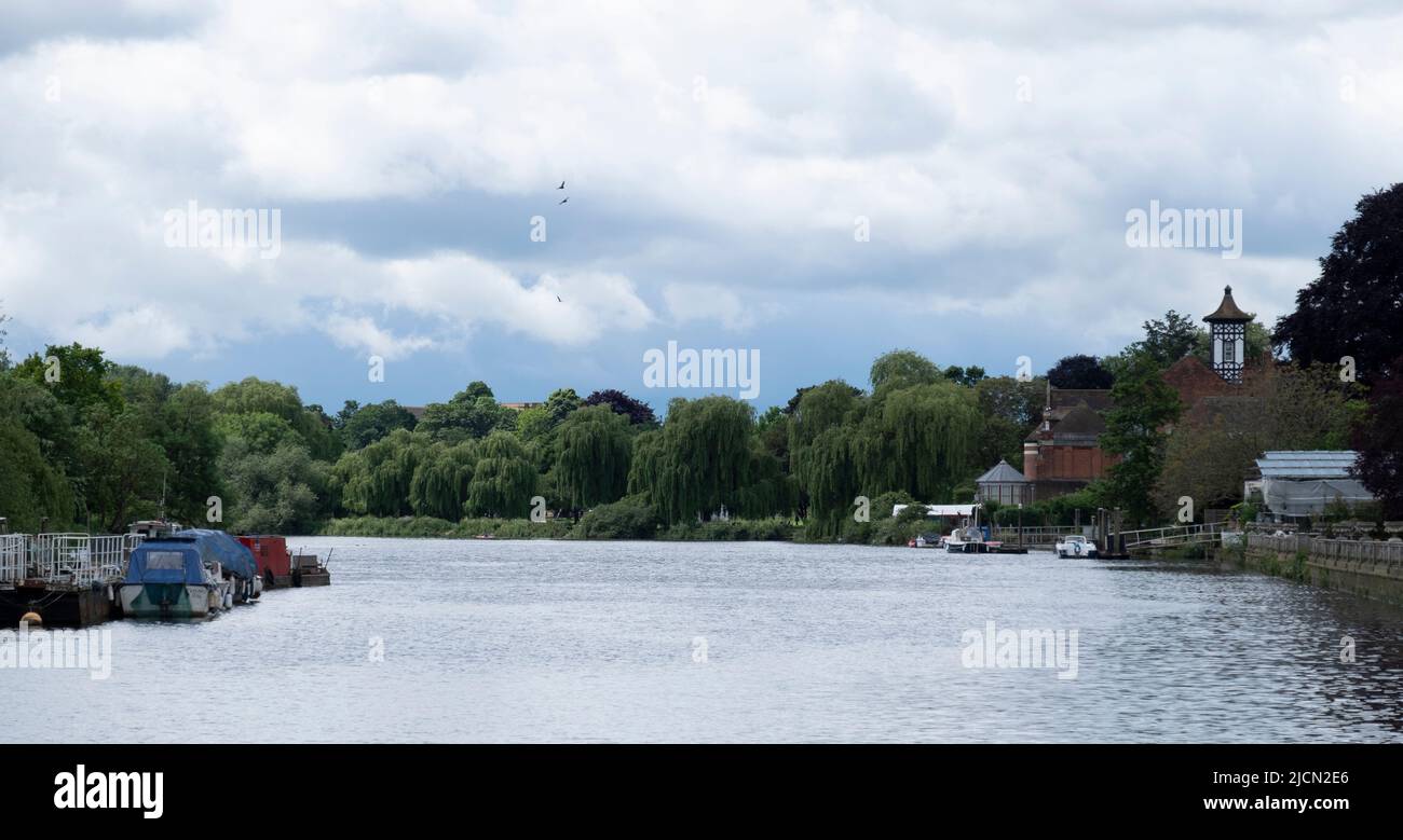 Walk along The Thames in Richmond,London Stock Photo - Alamy