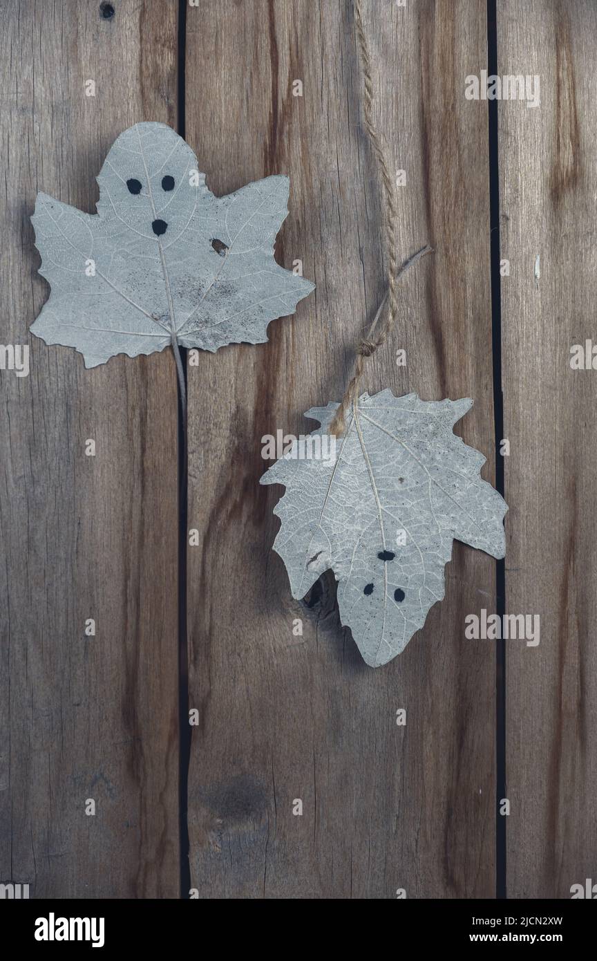 Leaf of a tree with ghost faces drawn against a wooden background ...