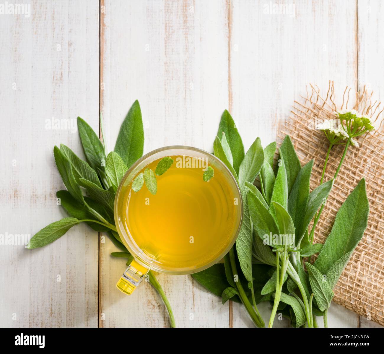 Cup of sage tea on the wooden table. Herbal teas concept Stock Photo ...