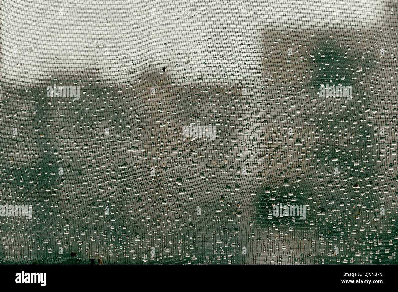 Raindrops on the mosquito net. Silhouettes of high-rise buildings ...