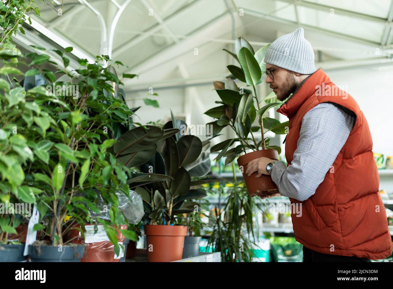 customer In the garden center chooses a plant for his house Stock Photo ...