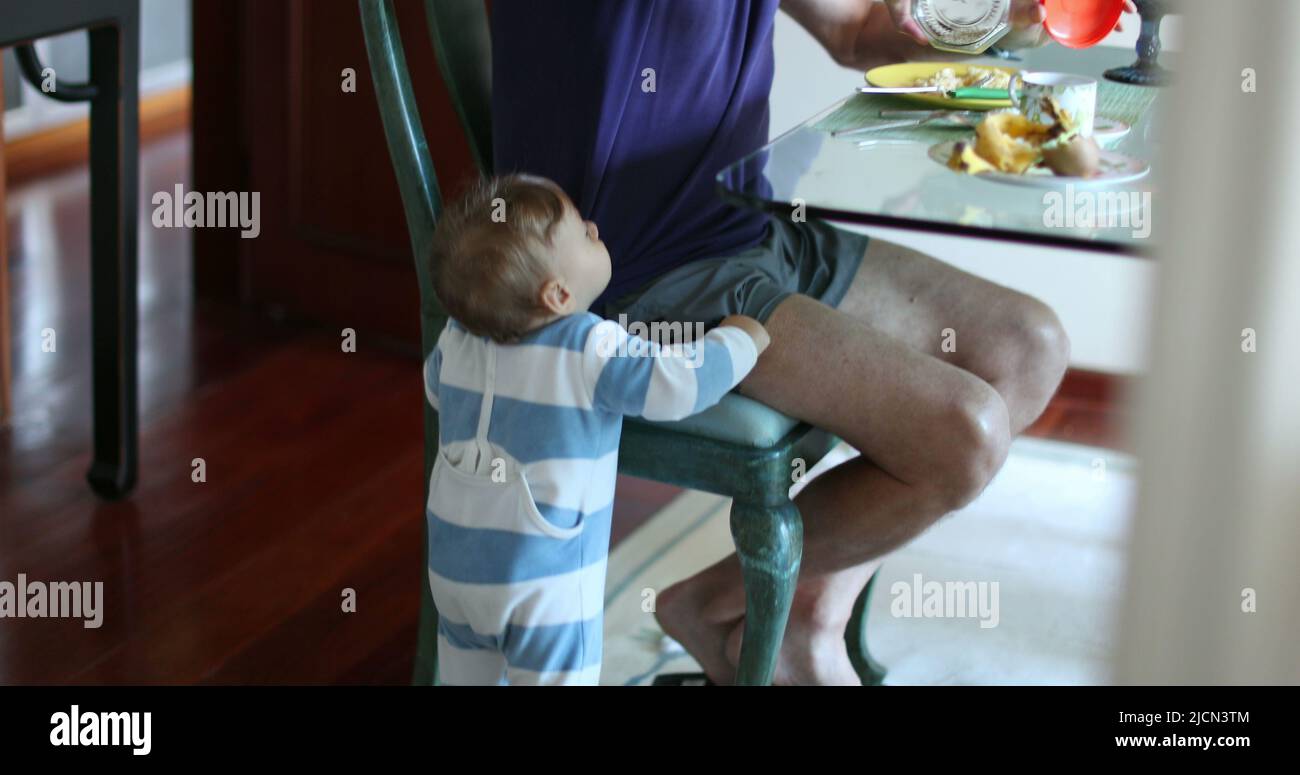 Cute baby toddler standing next to grandfather during meal breakfast ...
