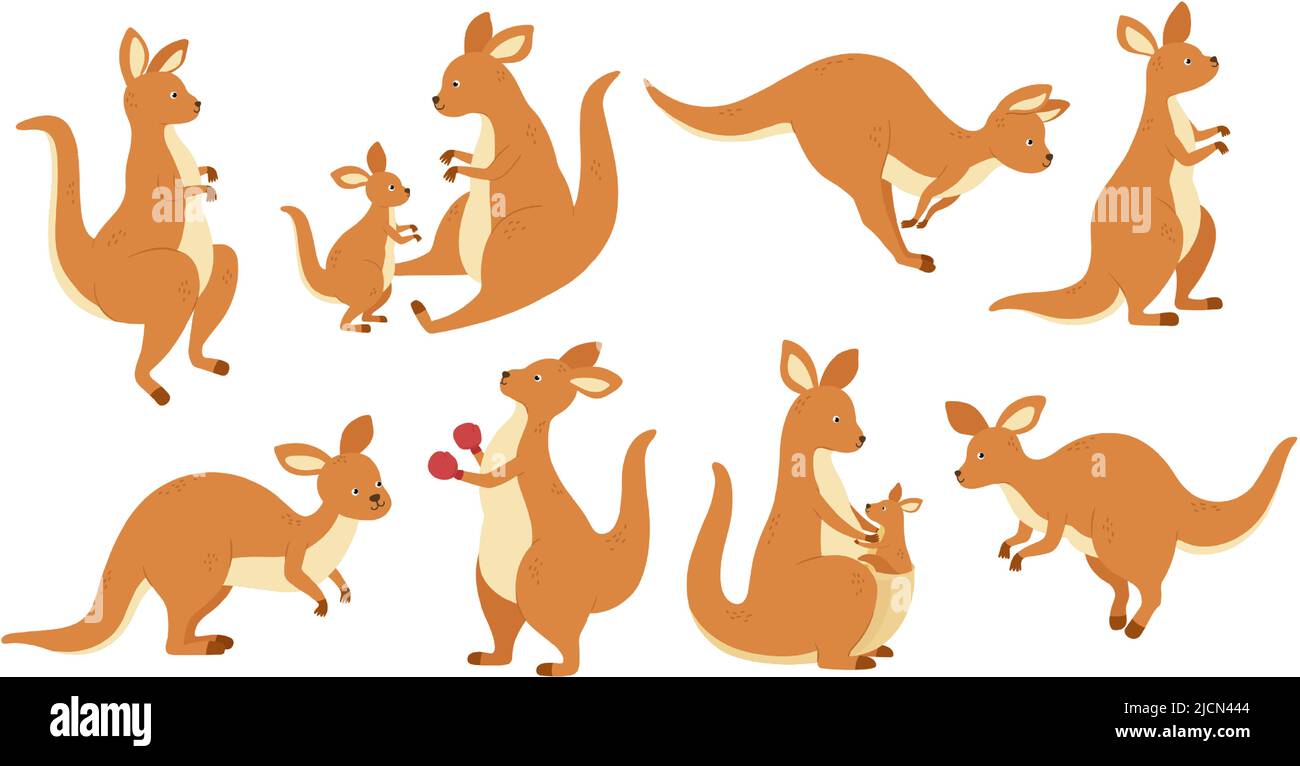 Cartoon kangaroo mascot. Jumping Australian animals, kangaroos in different poses vector set ...