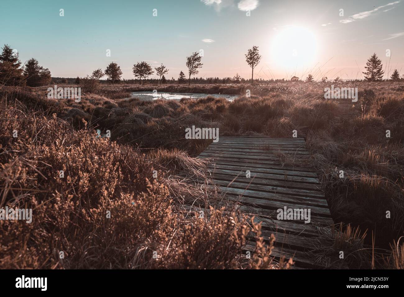 High moor landscape in the German-Belgian nature park Hohes Venn-Eifel ...
