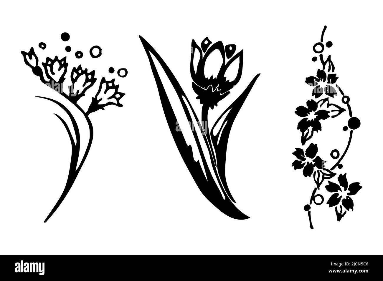 Set of three editable vector clipart flowers. EPS10 Stock Vector Image ...