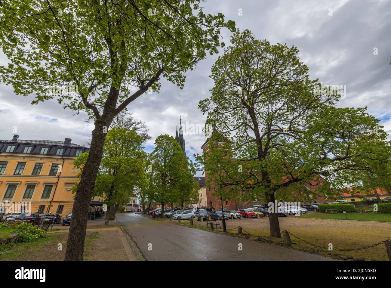 Beautiful panoramic view of empty city street with green trees and ...