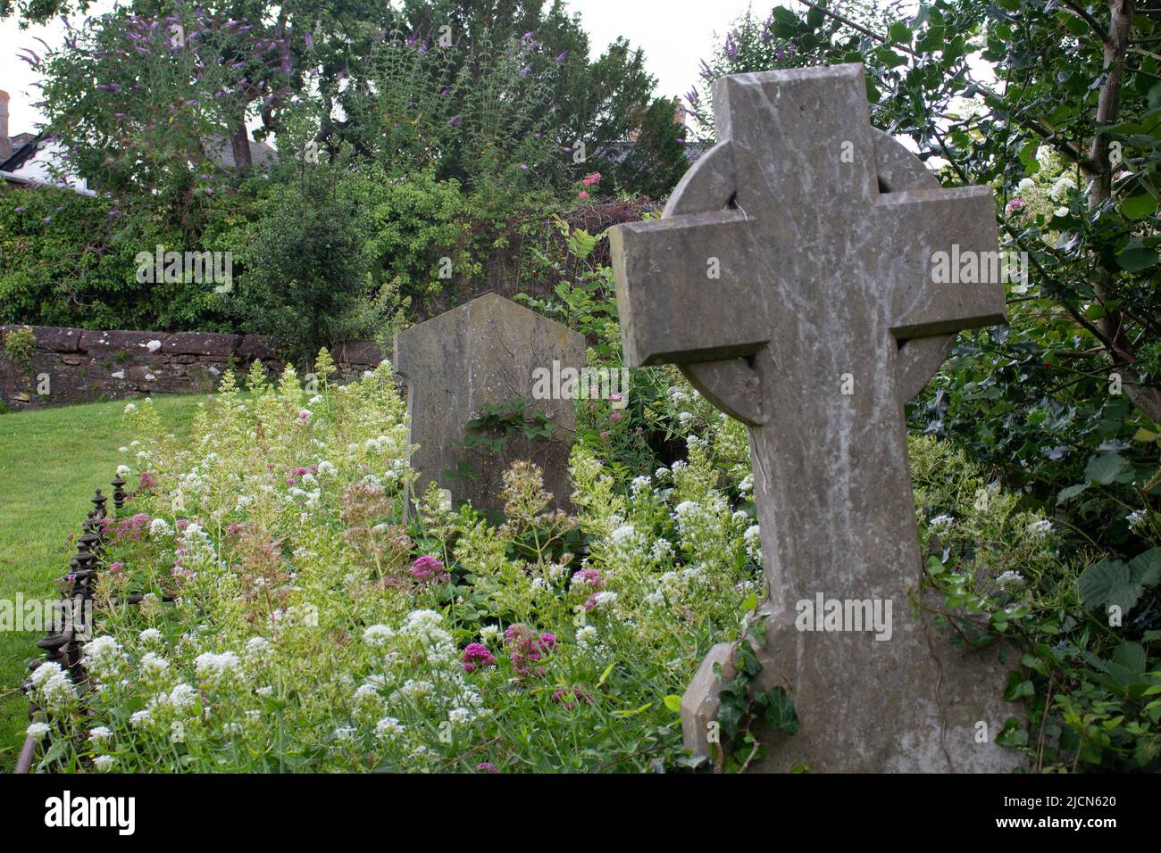graves of St Andrew's Church, Cullompton, Devon Stock Photo - Alamy