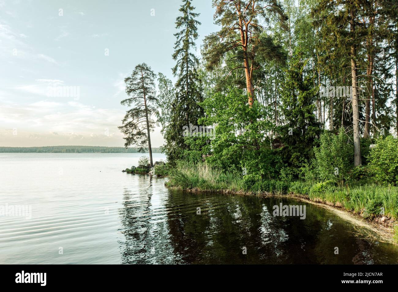 Aerial landscape view of Monrepo park in Vyborg city. Summer, green ...