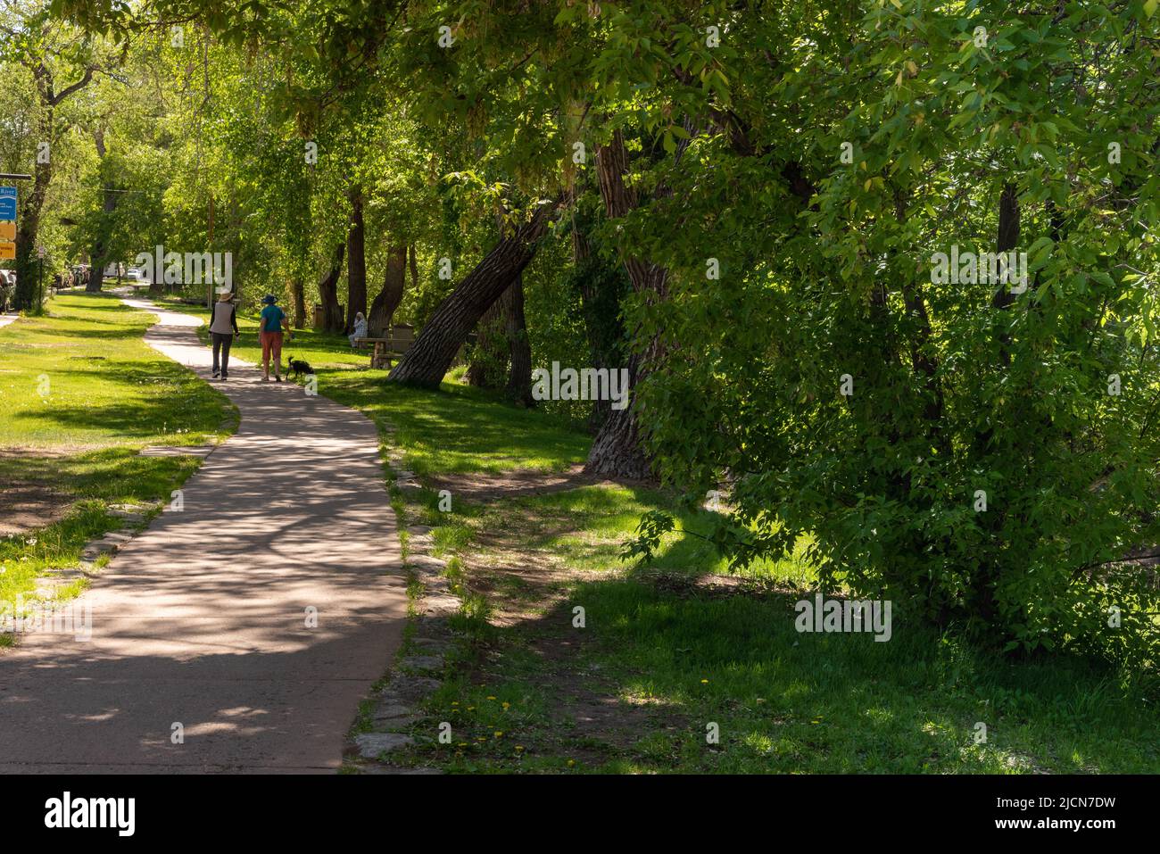Two women stroll along the river walk by the Santa Fe River beneath the cottonwood trees, one ...