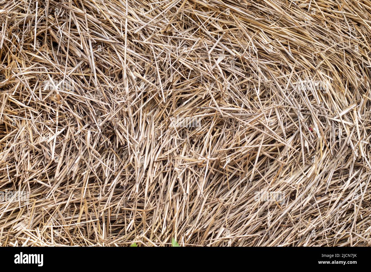 Straw, dry straw texture background, vintage style for design ...