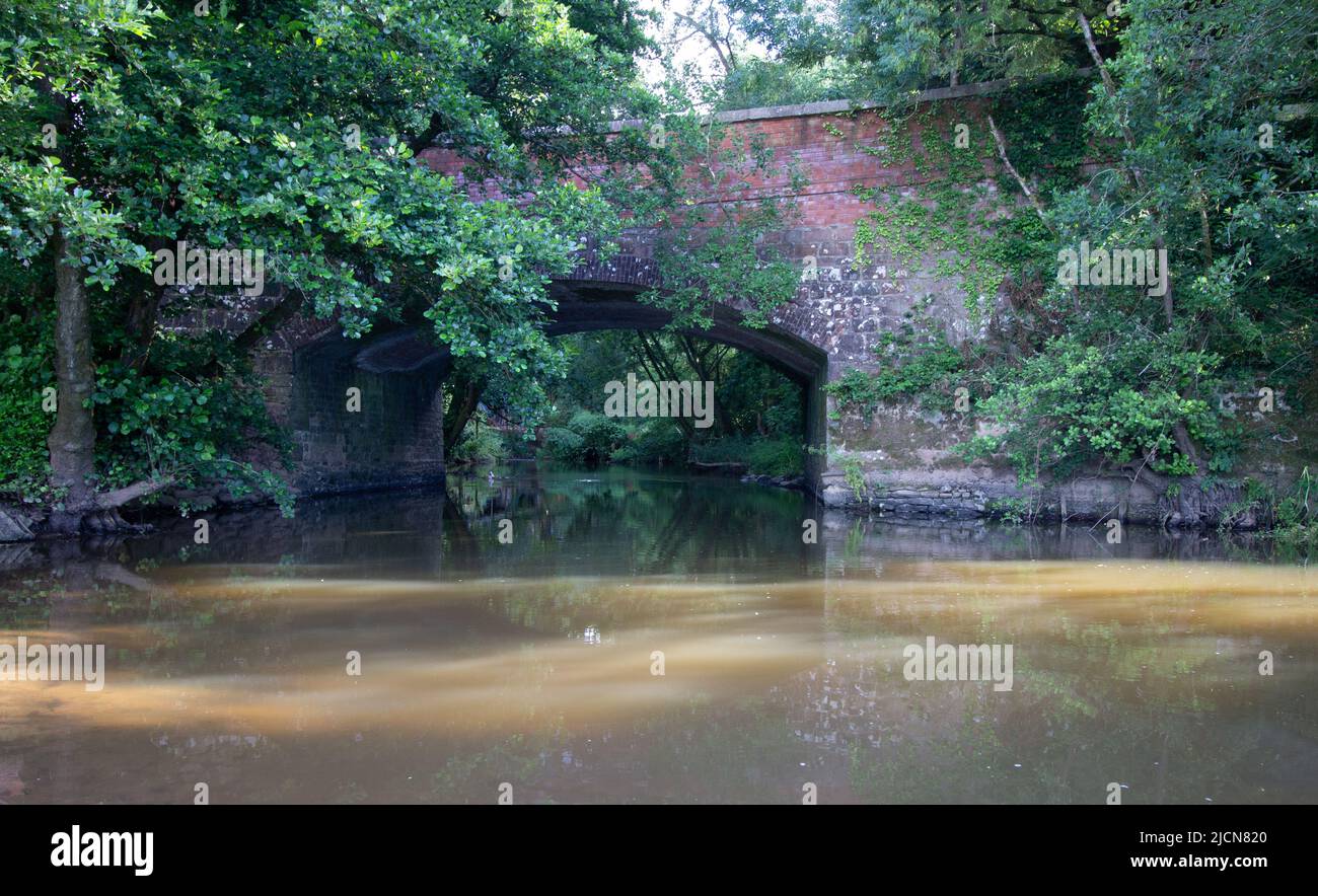 looking through the arch of a bridge along the river with trees hanging ...