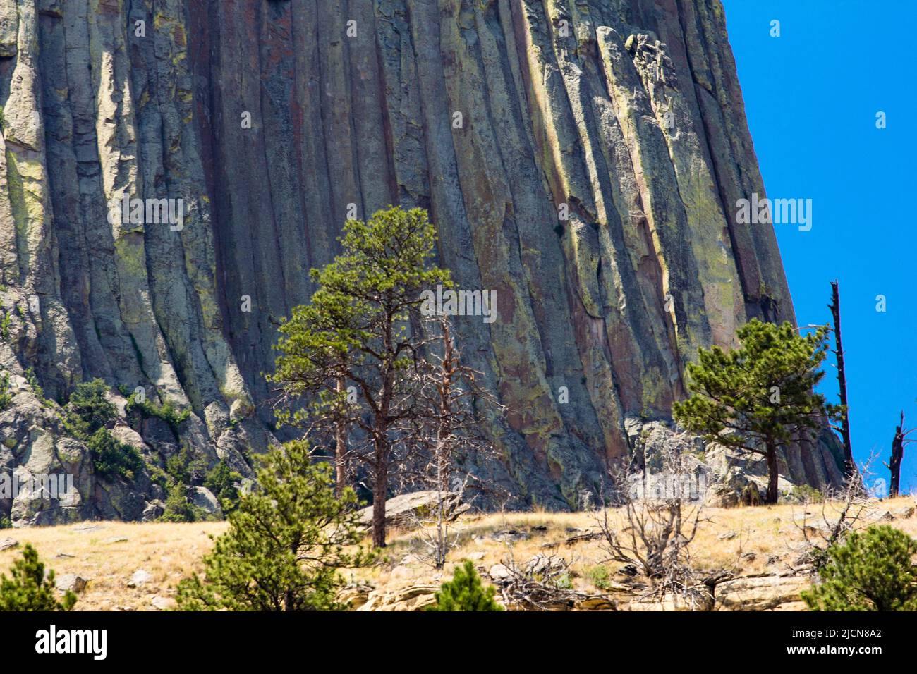 Devil's Tower National Monument, Wyoming Stock Photo - Alamy