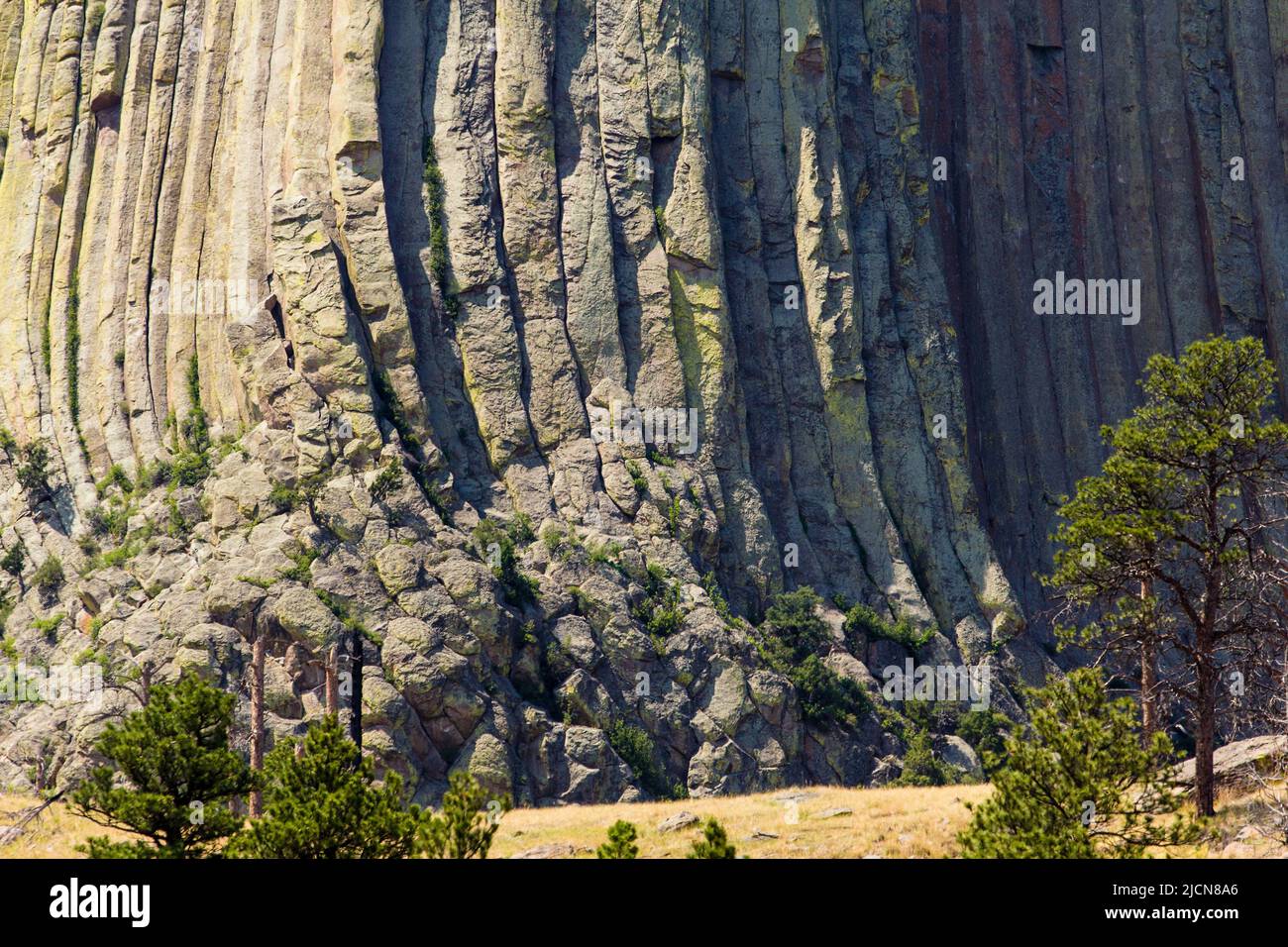 Devil's Tower National Monument, Wyoming Stock Photo - Alamy