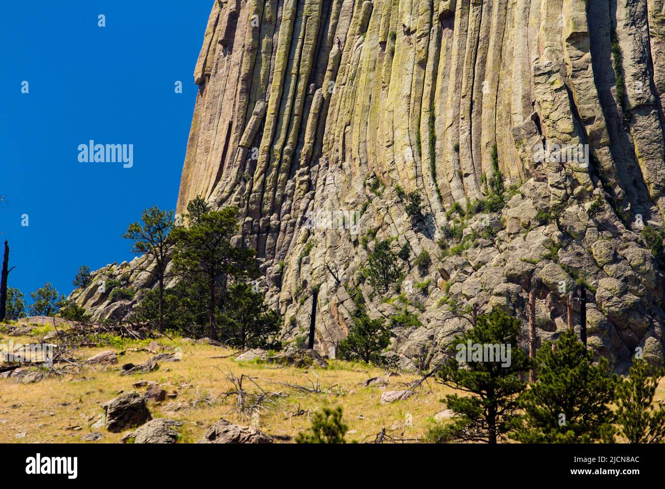 Devil's Tower National Monument, Wyoming Stock Photo - Alamy