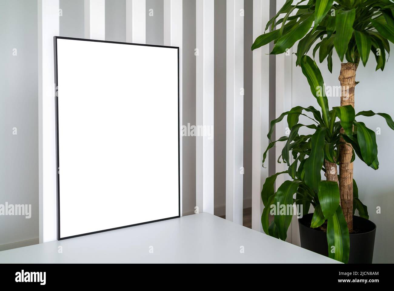 Modern panel with plant in an office room. Minimalist black frame ...