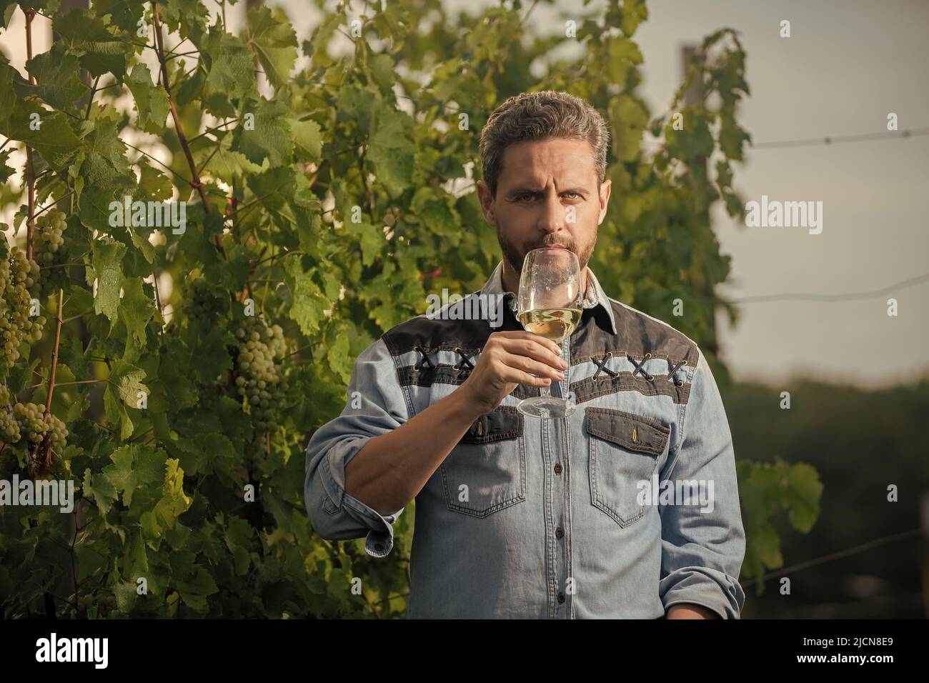 Cheers man hi-res stock photography and images - Alamy