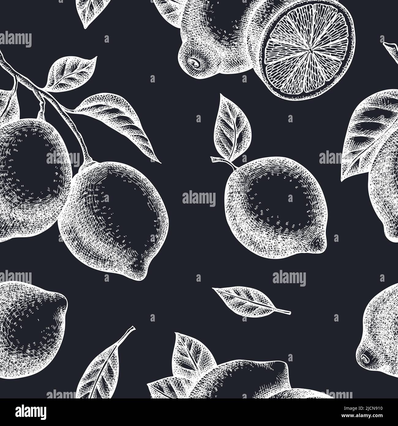 Citrus seamless pattern background design. Engraved style. Hand drawn lime Stock Vector Image ...