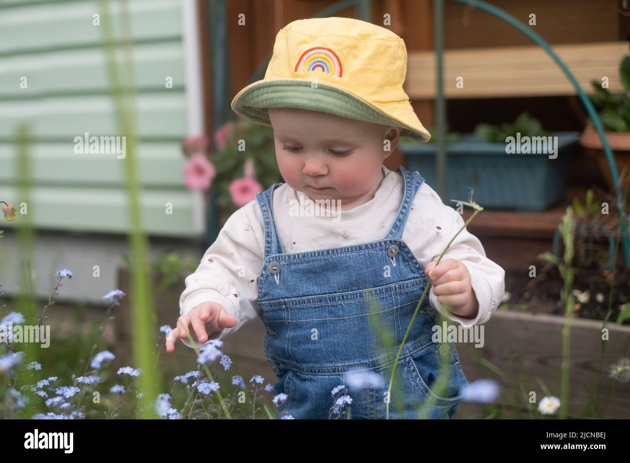 Little child having fun and exploring nature. Cheerful baby girl in ...