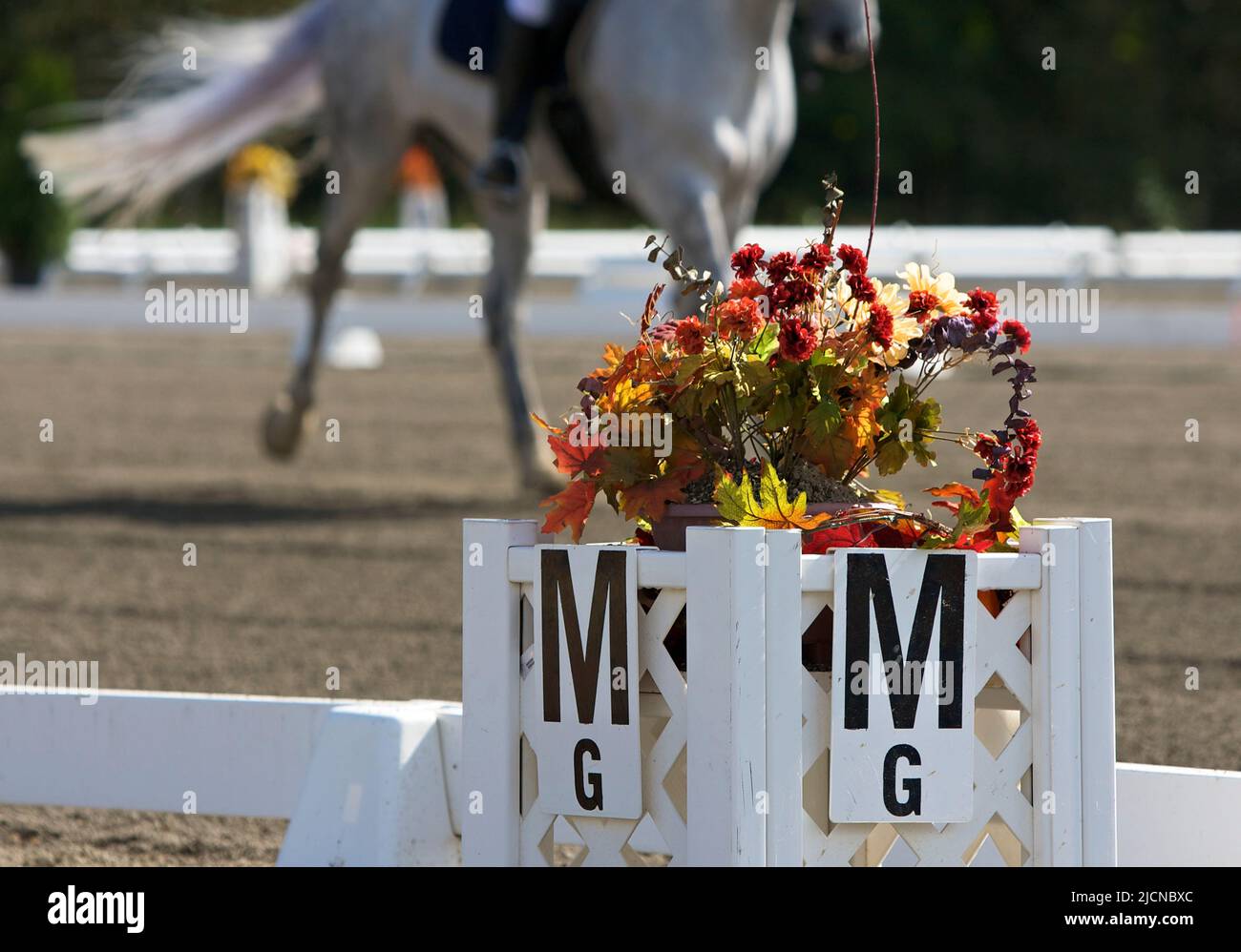 Letter and decorations ringside at a dressage horse show with rider on ...