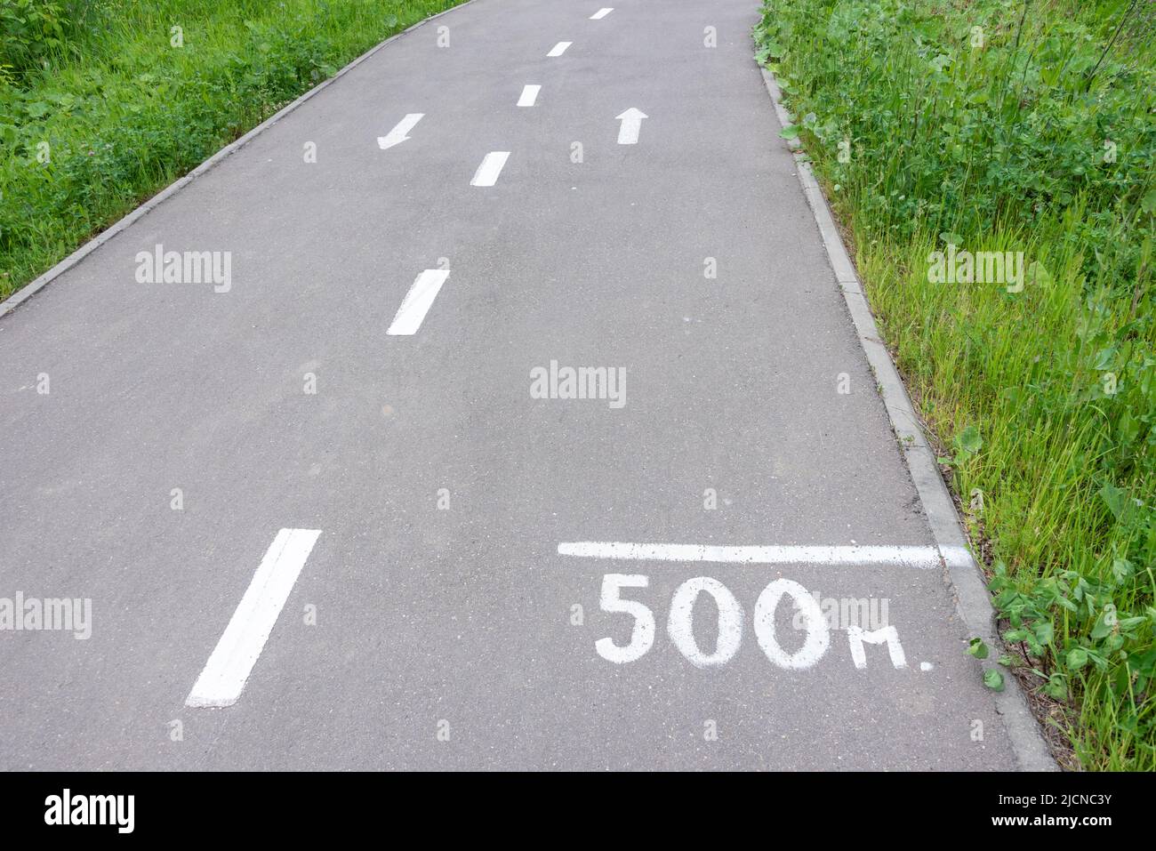 A bike path in a forest park with a marking of the center of the path ...