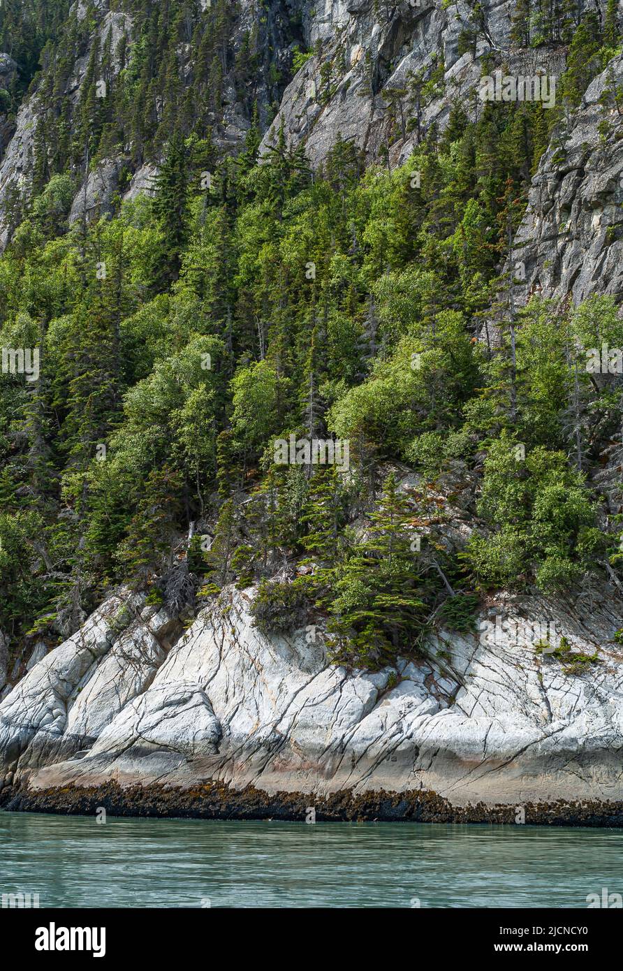 Skagway, Alaska, USA - July 20, 2011: Taiya Inlet above Chilkoot Inlet ...