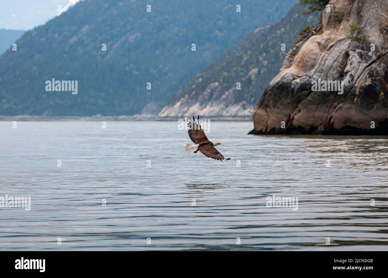 Skagway, Alaska, USA - July 20, 2011: Taiya Inlet above Chilkoot Inlet ...