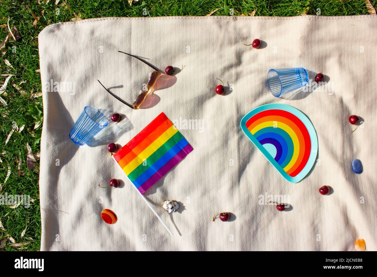 LGBTQ picnic in summer park. Pplaid on grass, pride month. LGBT flag ...