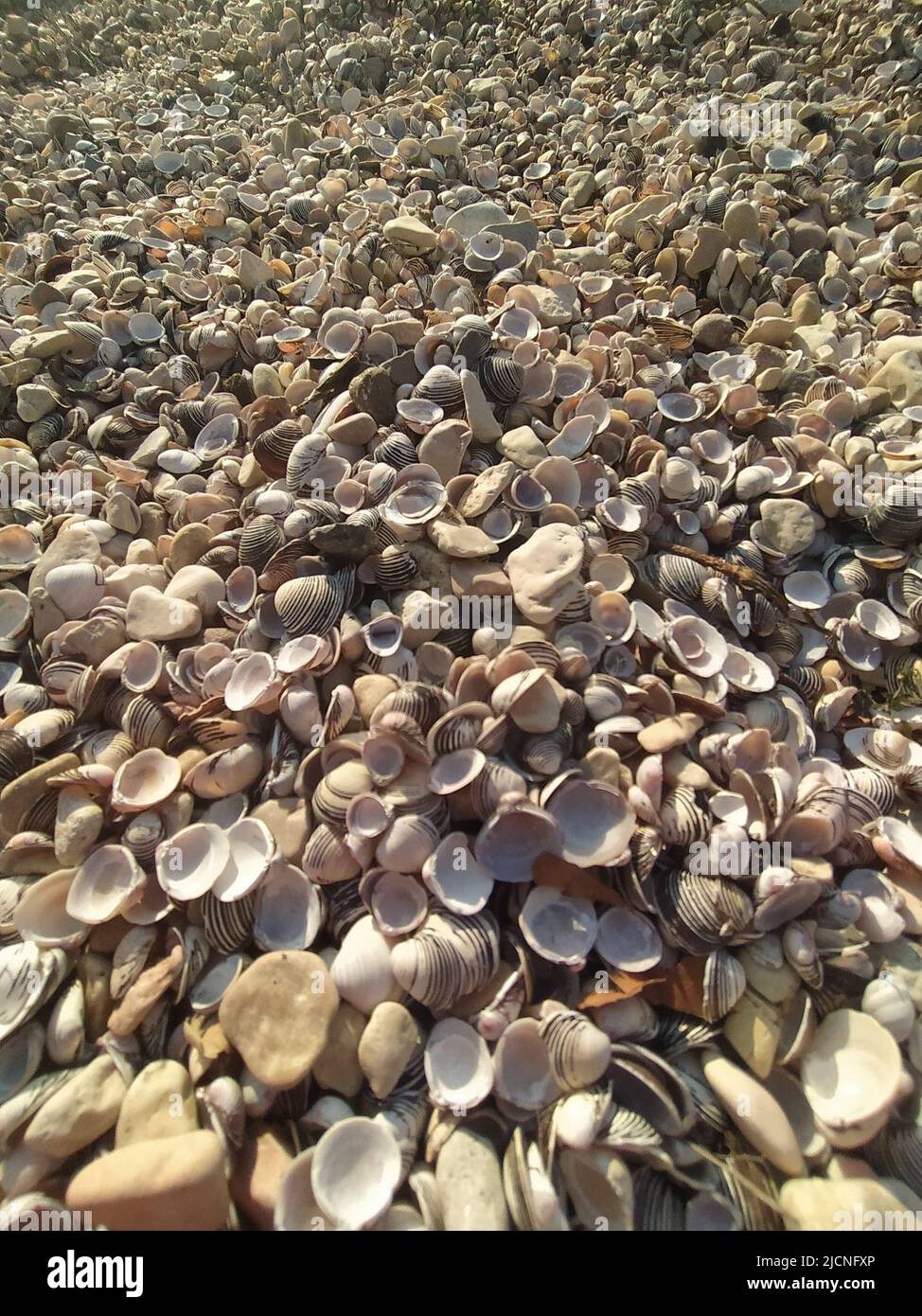 View of Garda lake shells beach in italy Stock Photo - Alamy